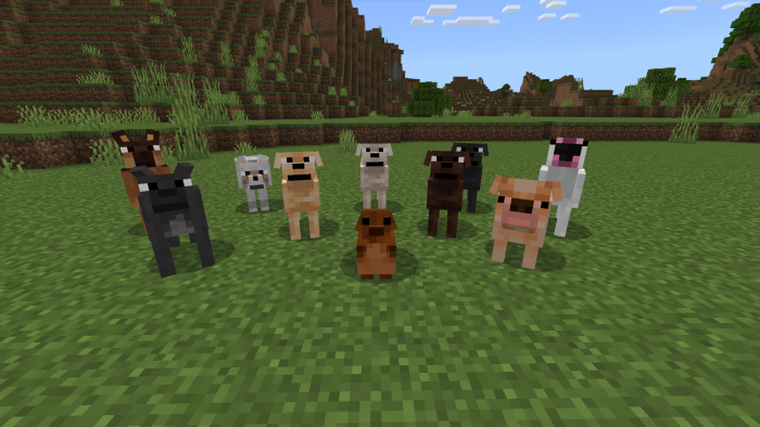 Mod Expansion for Minecraft Dogs (1.20) para Minecraft - Descargar